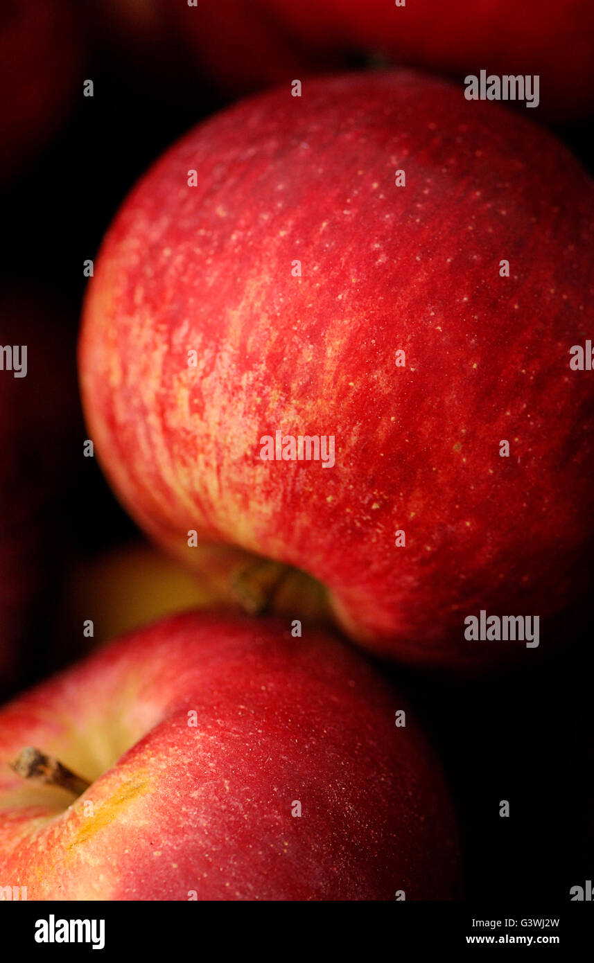 Five oval shapes hi-res stock photography and images - Alamy