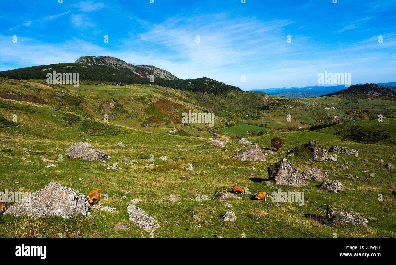 Mont Mezenc, Massif of Mezenc, Ardeche, France Stock Photo - Alamy