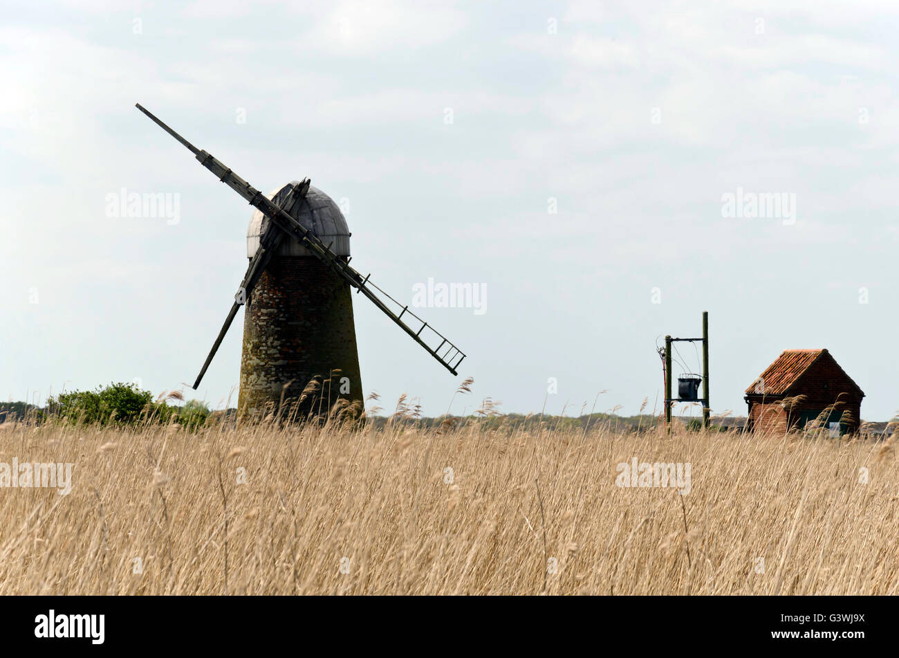 Old wind drainage mill alongside its new electric pump replacement near ...