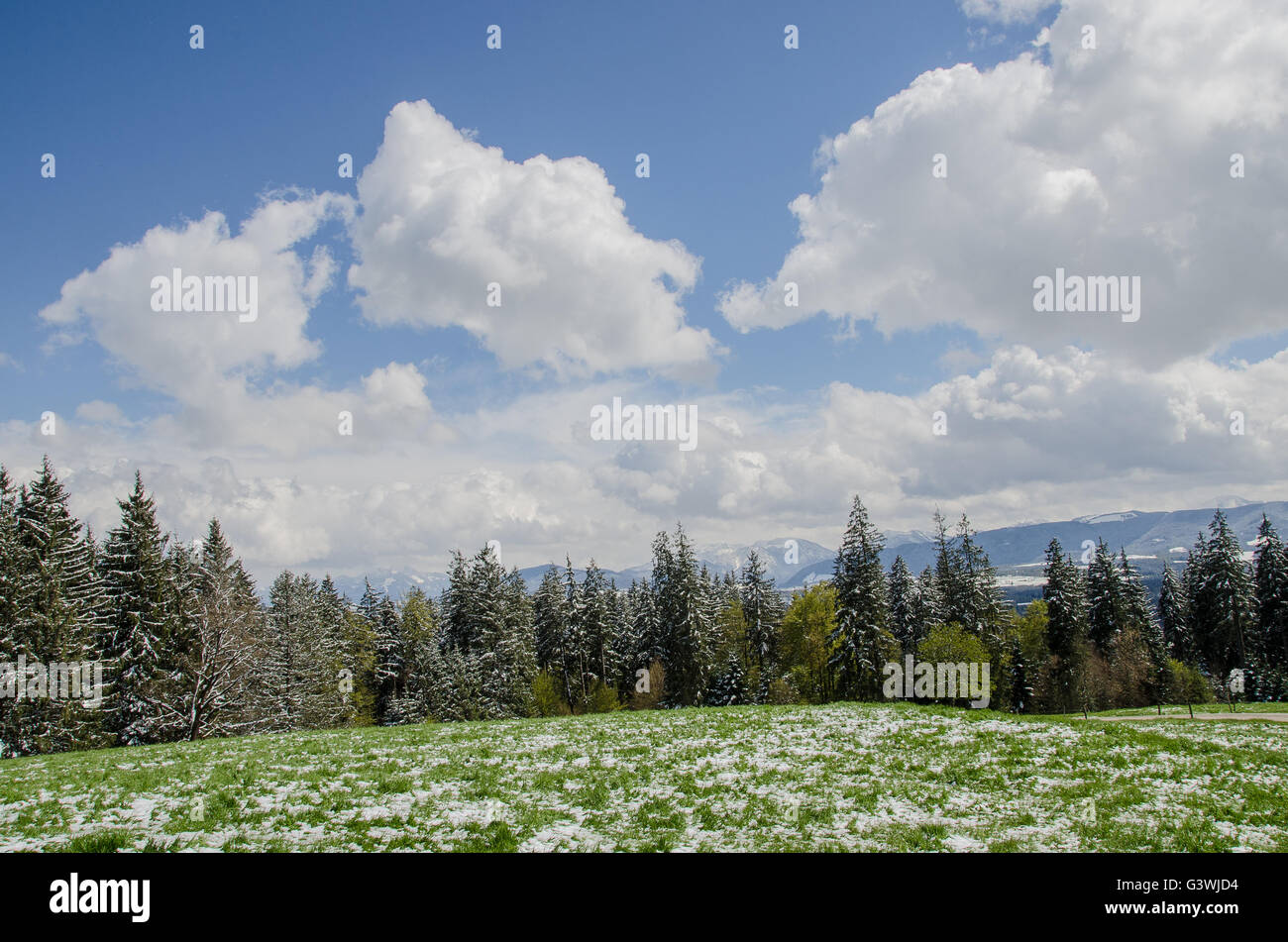 Taubenberg hi-res stock photography and images - Alamy