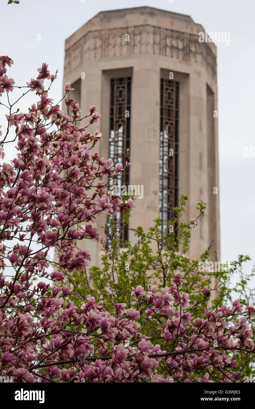 Bell tower of the university hi-res stock photography and images - Alamy