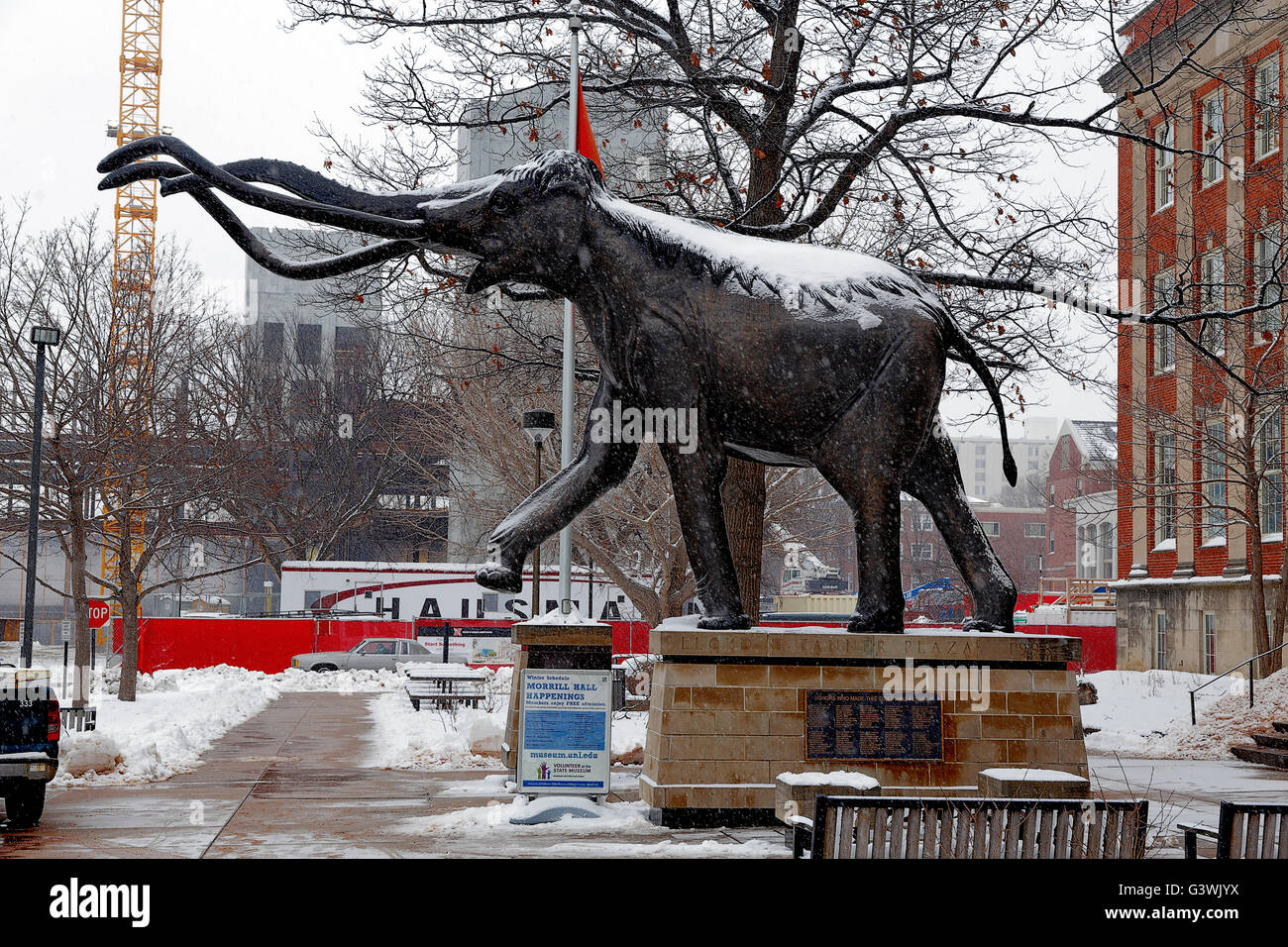 Columbian mammoth hi-res stock photography and images - Alamy