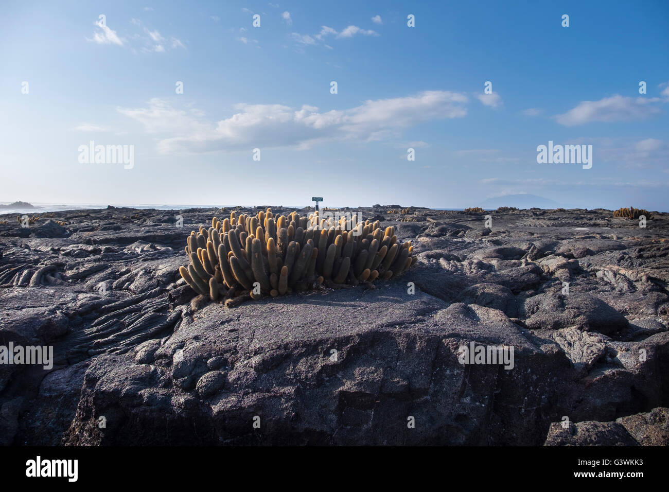 Spiky rocks hi-res stock photography and images - Alamy