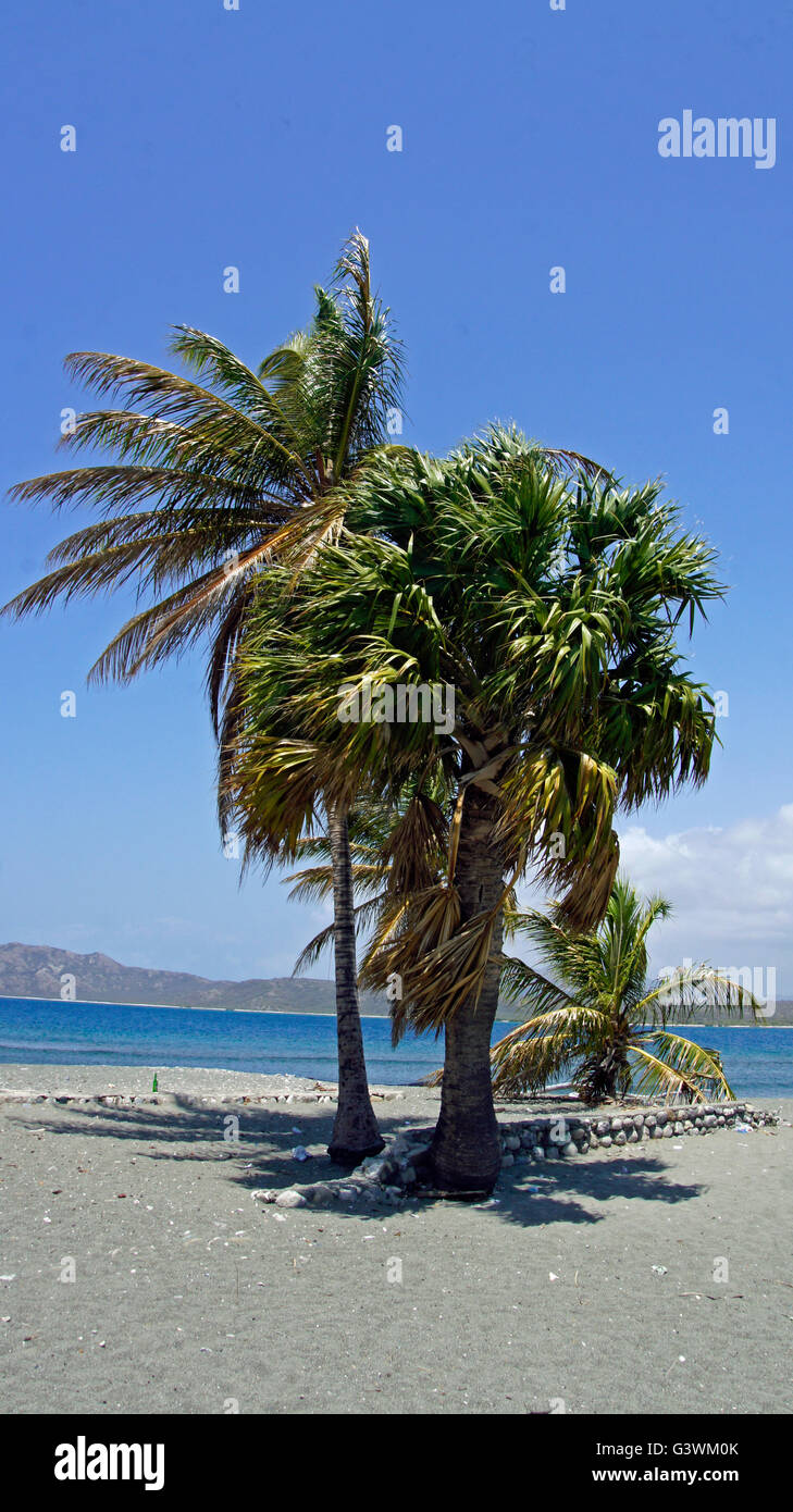 caribbean impression from bani in the dominican republic Stock Photo ...