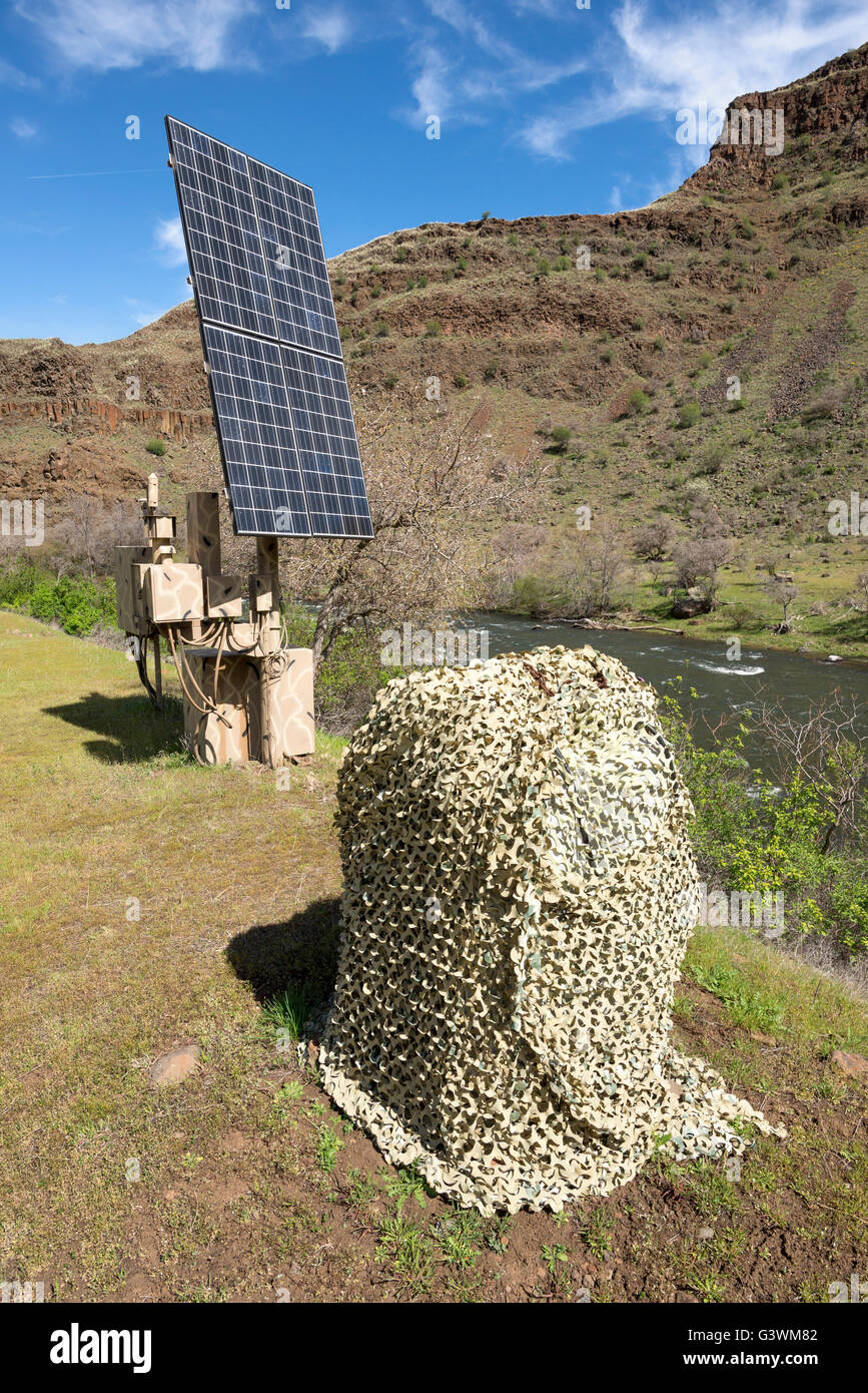 Solar panel and camouflaged propane tank powering a remote PIT tag ...