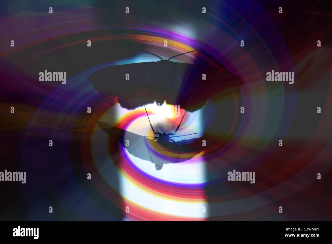 A metaphorical background showing a butterfly in an abstract pattern ...