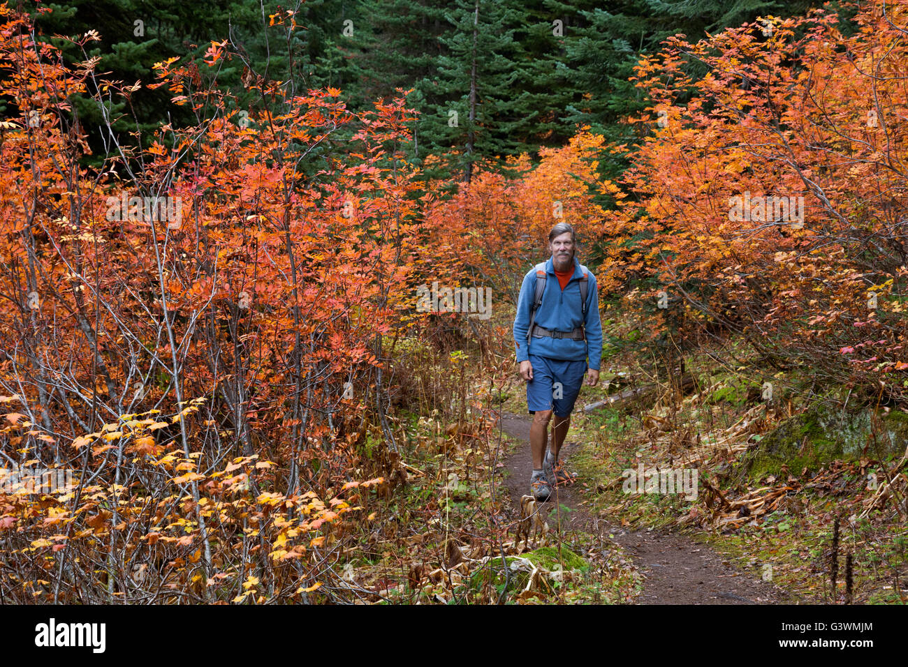 WASHINGTON - Hiker on a fall time hike to Easy Pass in the Okanogan ...