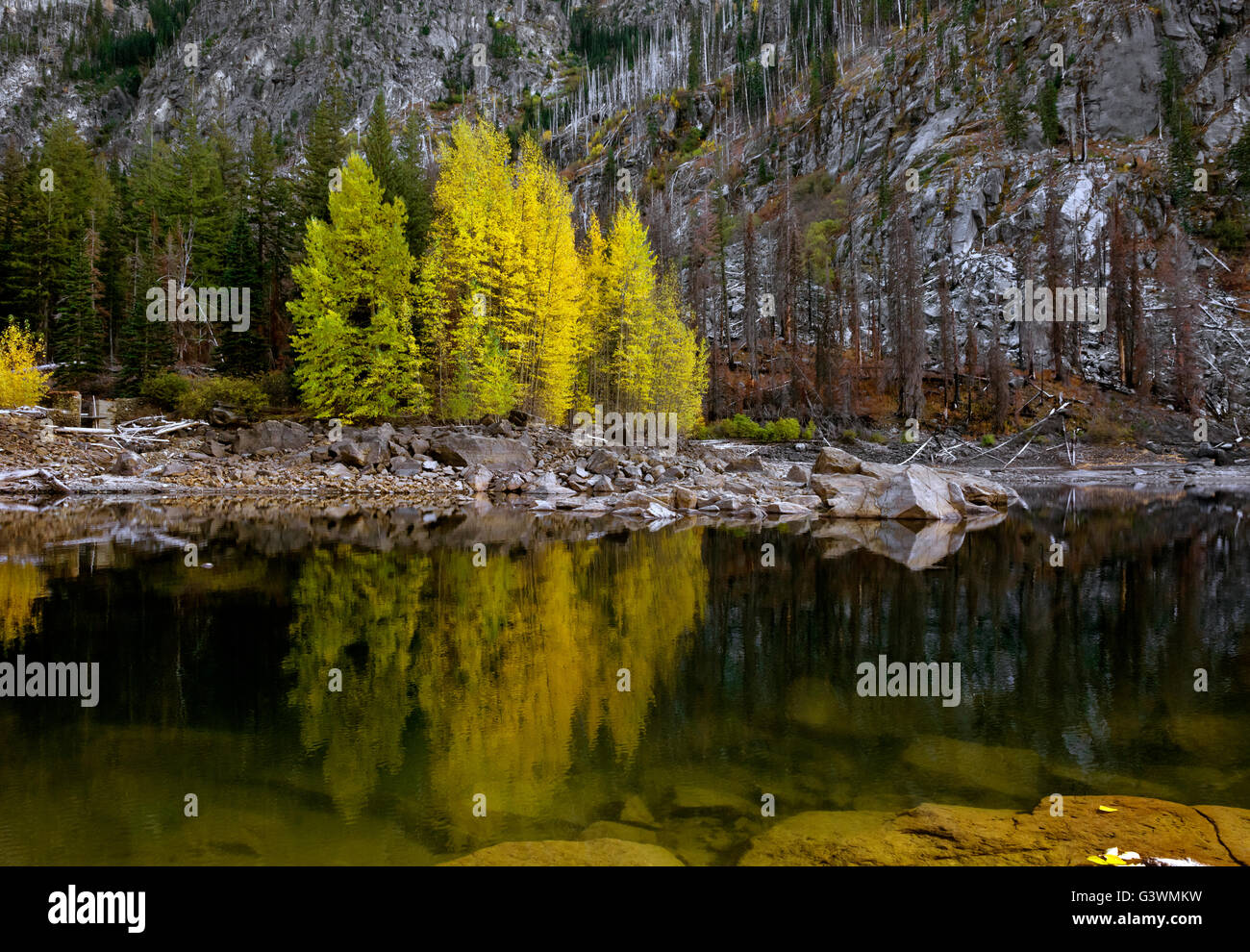 WASHINGTON - Fall color on trees along the shore reflecting in the ...