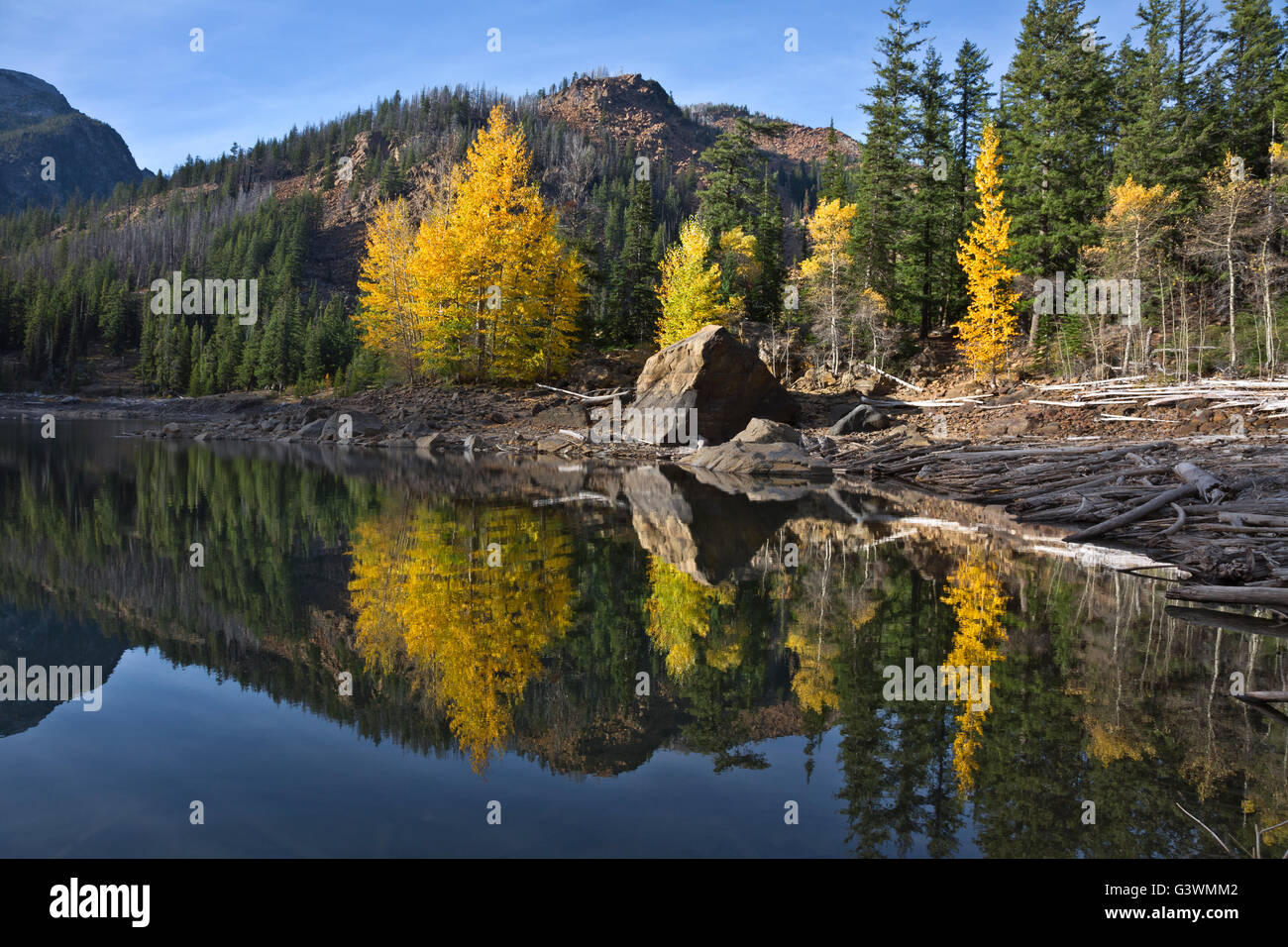 WASHINGTON - Fall color on trees along the shore reflecting in the ...