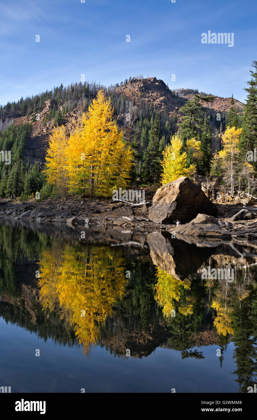 WASHINGTON - Fall color on trees along the shore reflecting in still ...