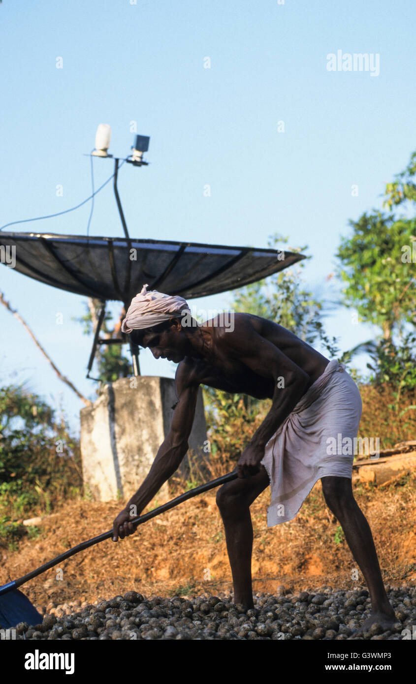 INDIA Karnataka, Mudbidri, farmer in village working in front of TV ...