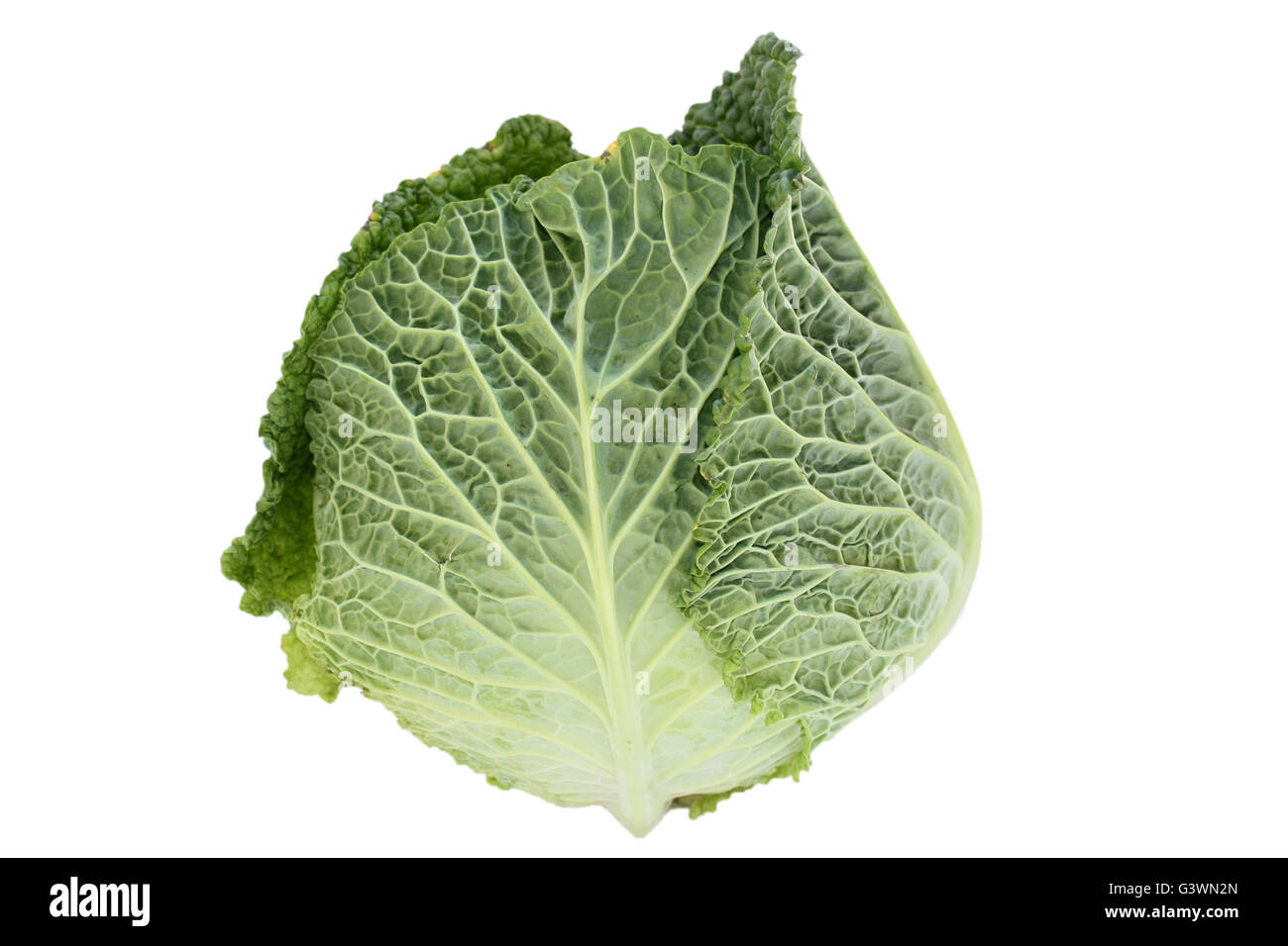 Single kale leaf hi-res stock photography and images - Alamy