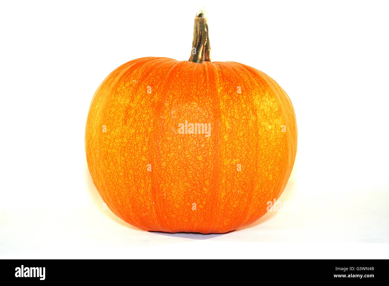 Rounded pumpkin hi-res stock photography and images - Alamy