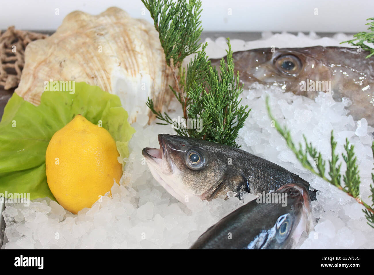 Group fresh little fishes hi-res stock photography and images - Alamy