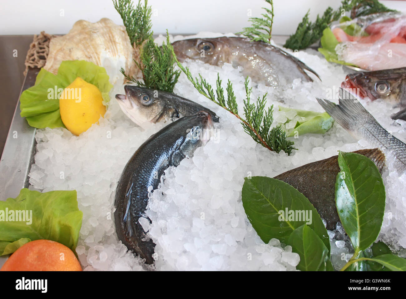 Fresh fish on the ice Stock Photo - Alamy