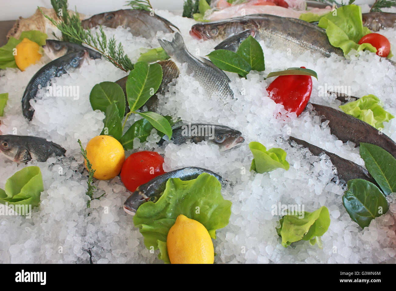 Fresh fish on the ice Stock Photo - Alamy