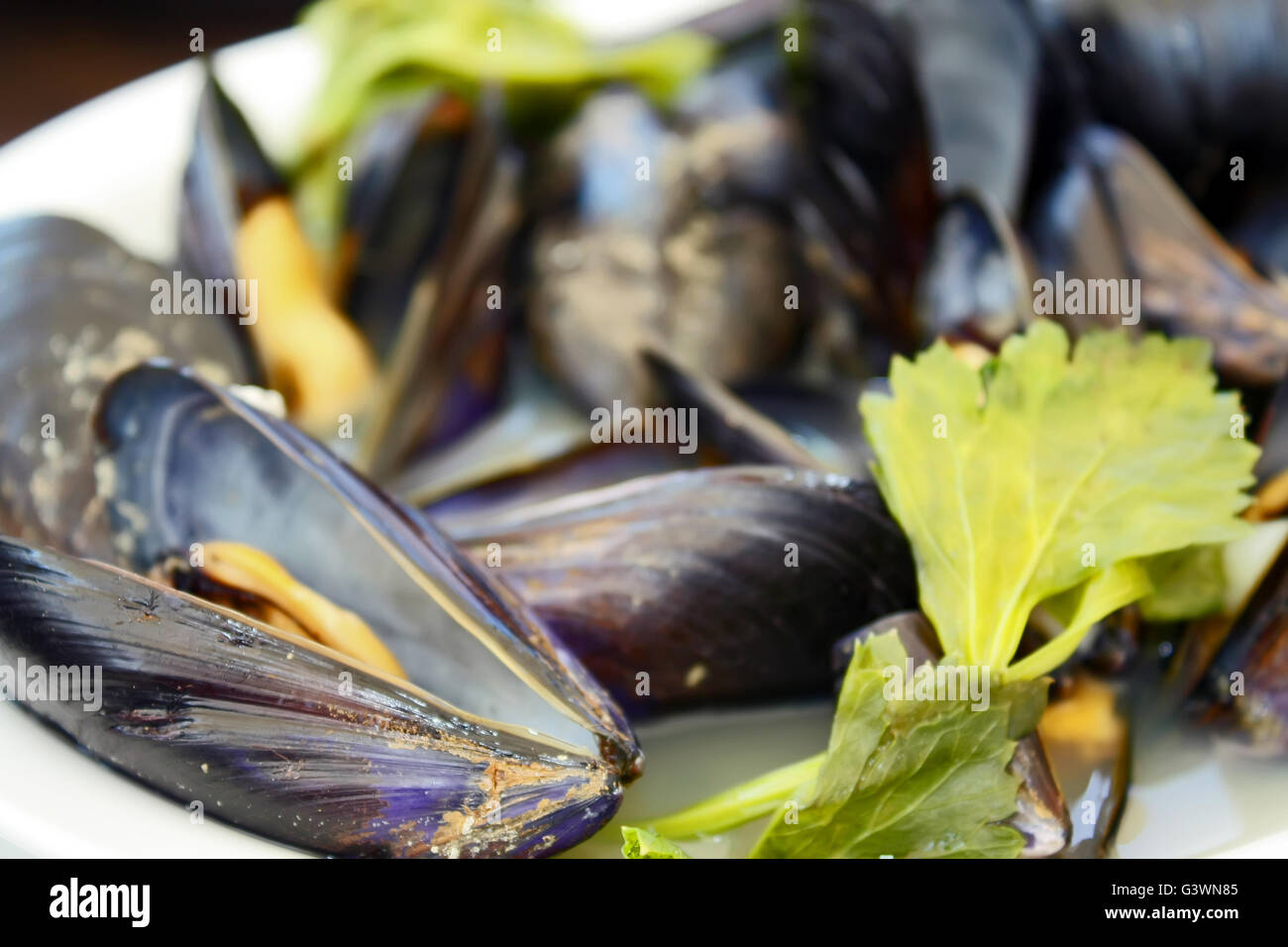 Breeding mussels hi-res stock photography and images - Alamy