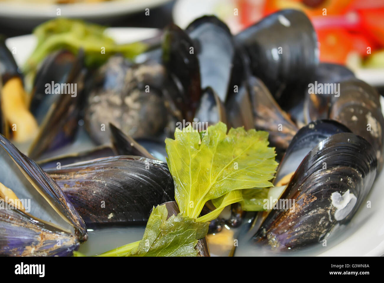Breeding mussels hi-res stock photography and images - Alamy