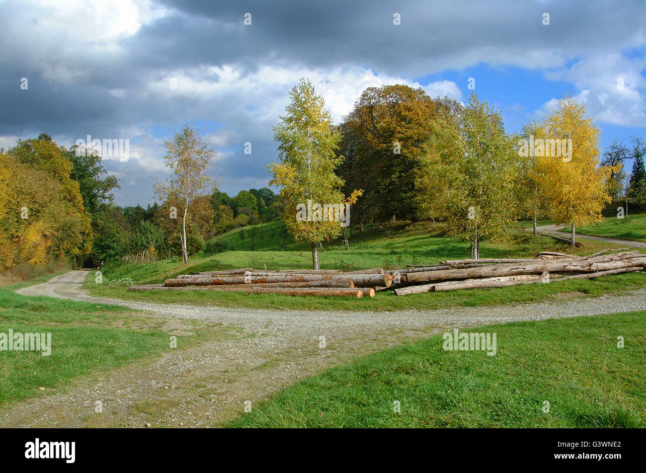 Rural idyll on a glade in autumn Stock Photo - Alamy