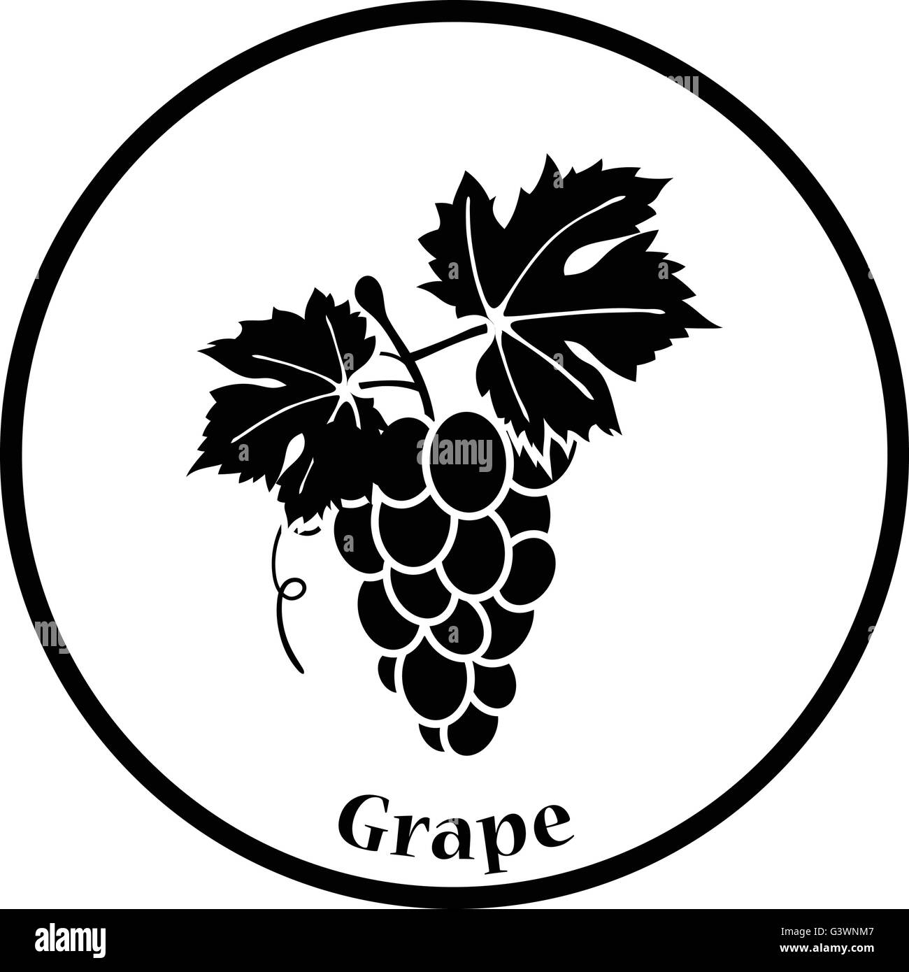 Icon of Grape. Thin circle design. Vector illustration Stock Vector ...