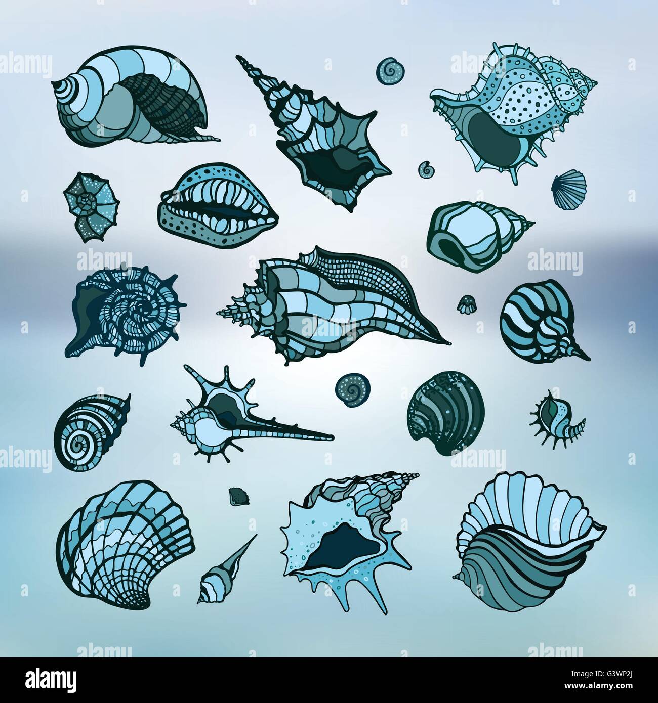 Seashell with blur background Stock Vector Images - Alamy