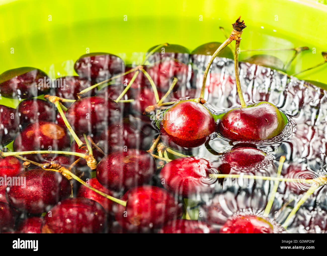 cherries immersed in water Stock Photo - Alamy