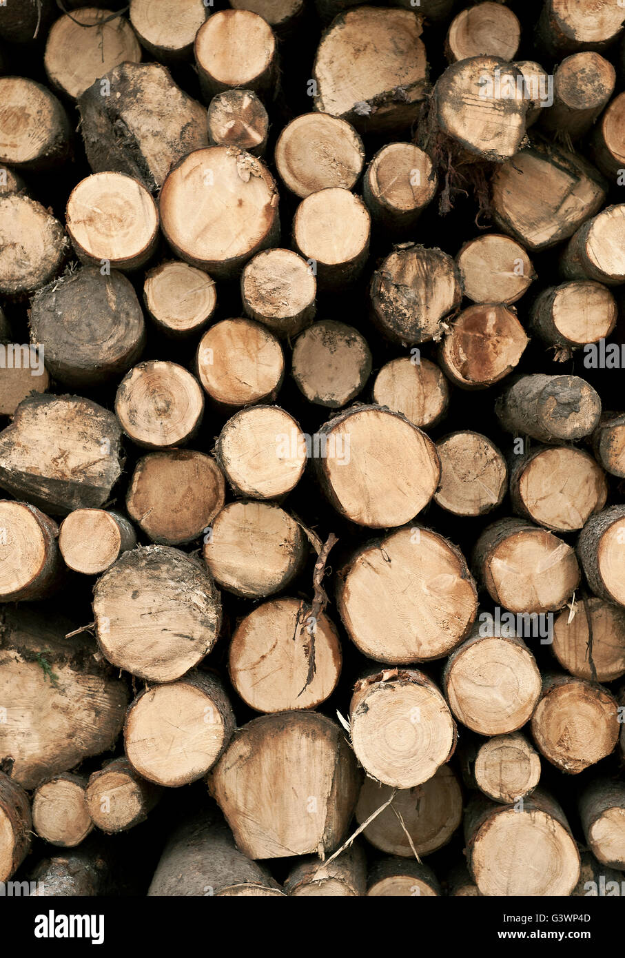 Hardwoods hi-res stock photography and images - Alamy