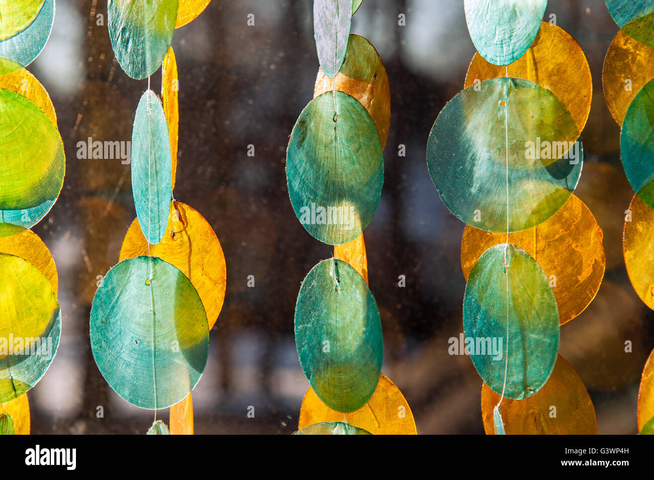 Translucent shells hi-res stock photography and images - Alamy
