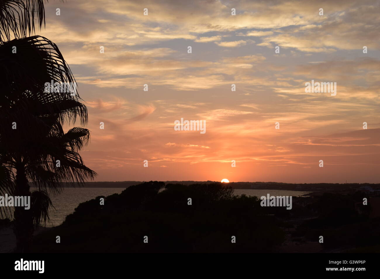 Ibiza sunset trees hi-res stock photography and images - Alamy