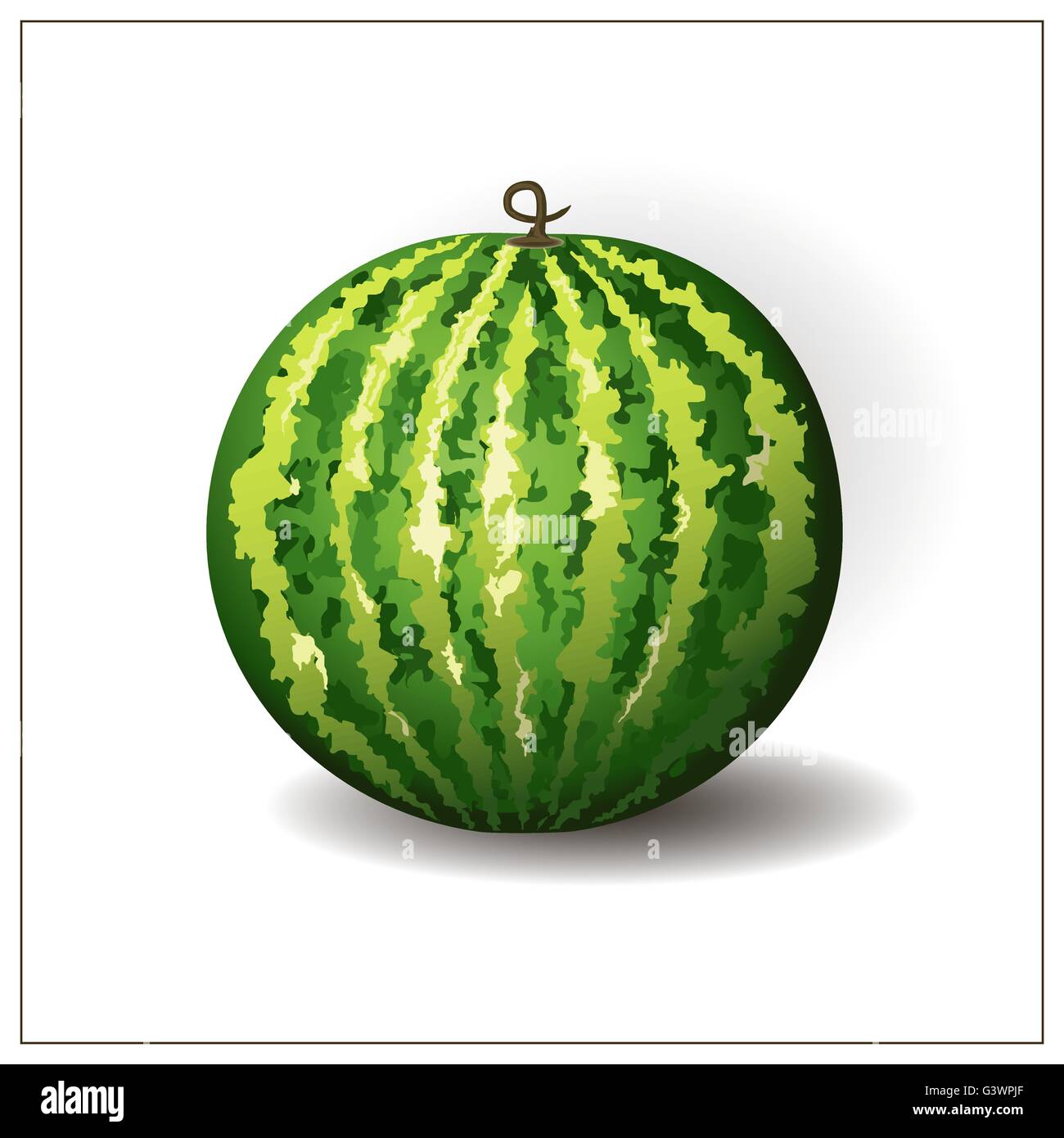 Whole round watermelon on the white background. Isolated tropical fruit ...