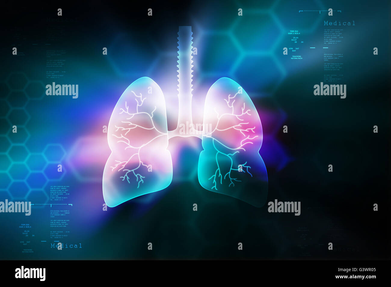 Human lungs hi-res stock photography and images - Alamy