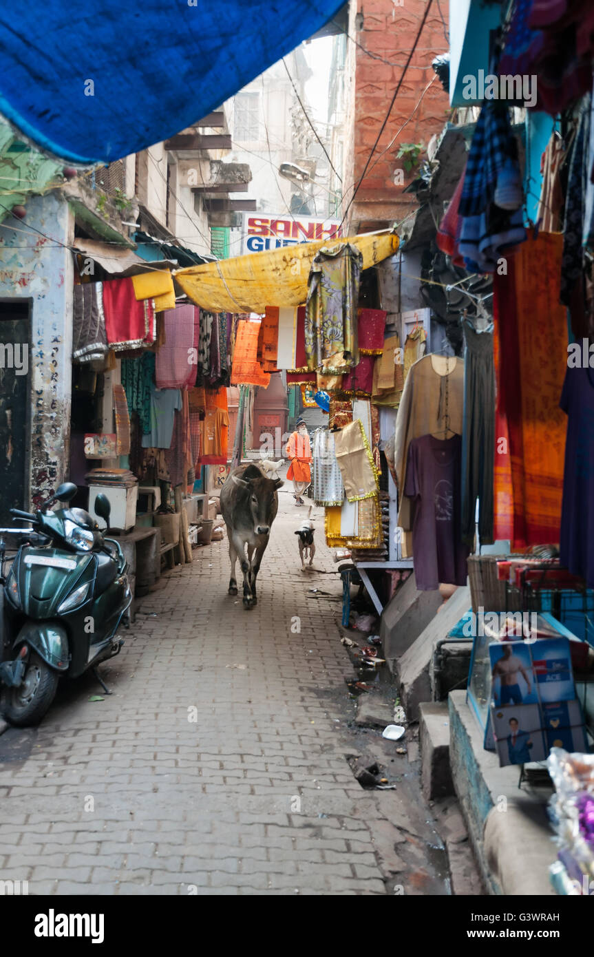 On the narrow street in the old city of Varanasi. Uttar Pradesh, India ...