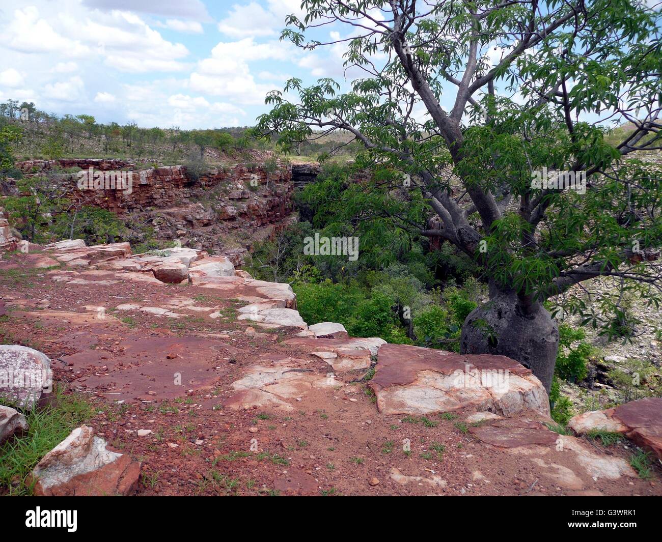 Bottle tree hi-res stock photography and images - Alamy