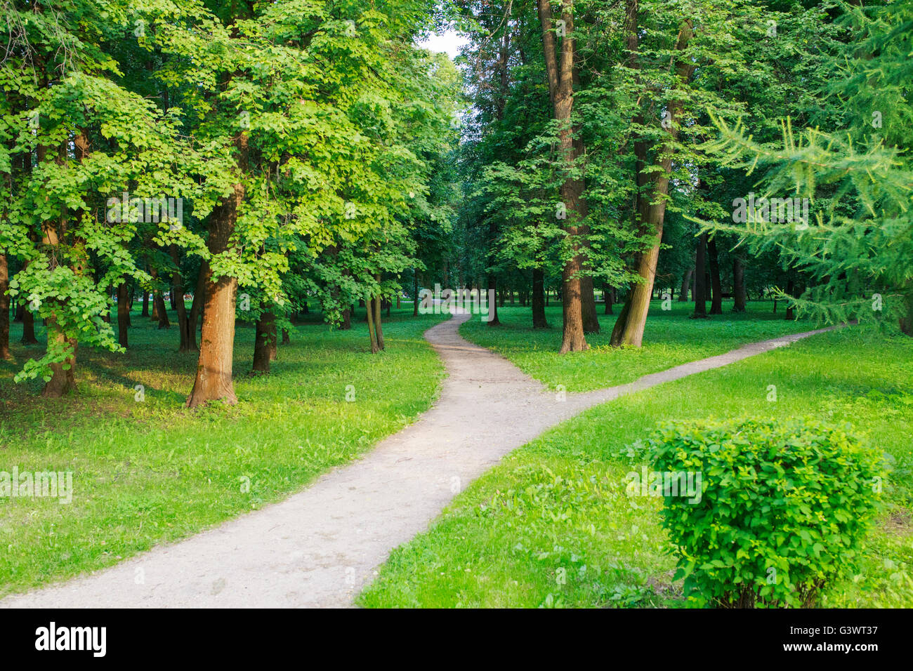 solar path in summer Park Stock Photo - Alamy