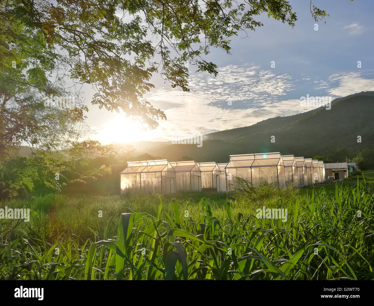 Agriculture hdr farm farming hi-res stock photography and images - Alamy