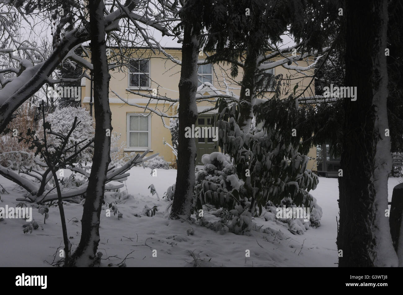 solid snow covered house behind pine trees Stock Photo - Alamy