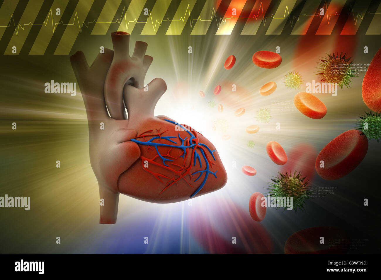 Human heart with platelets and virus in color background Stock Photo ...