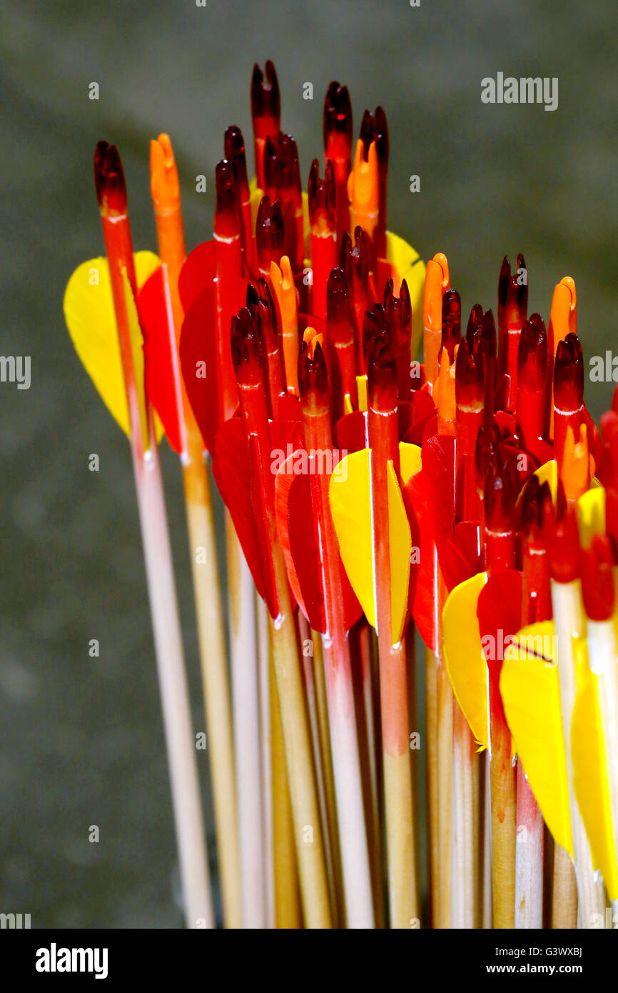 End of arrows with feathers as a background Stock Photo - Alamy