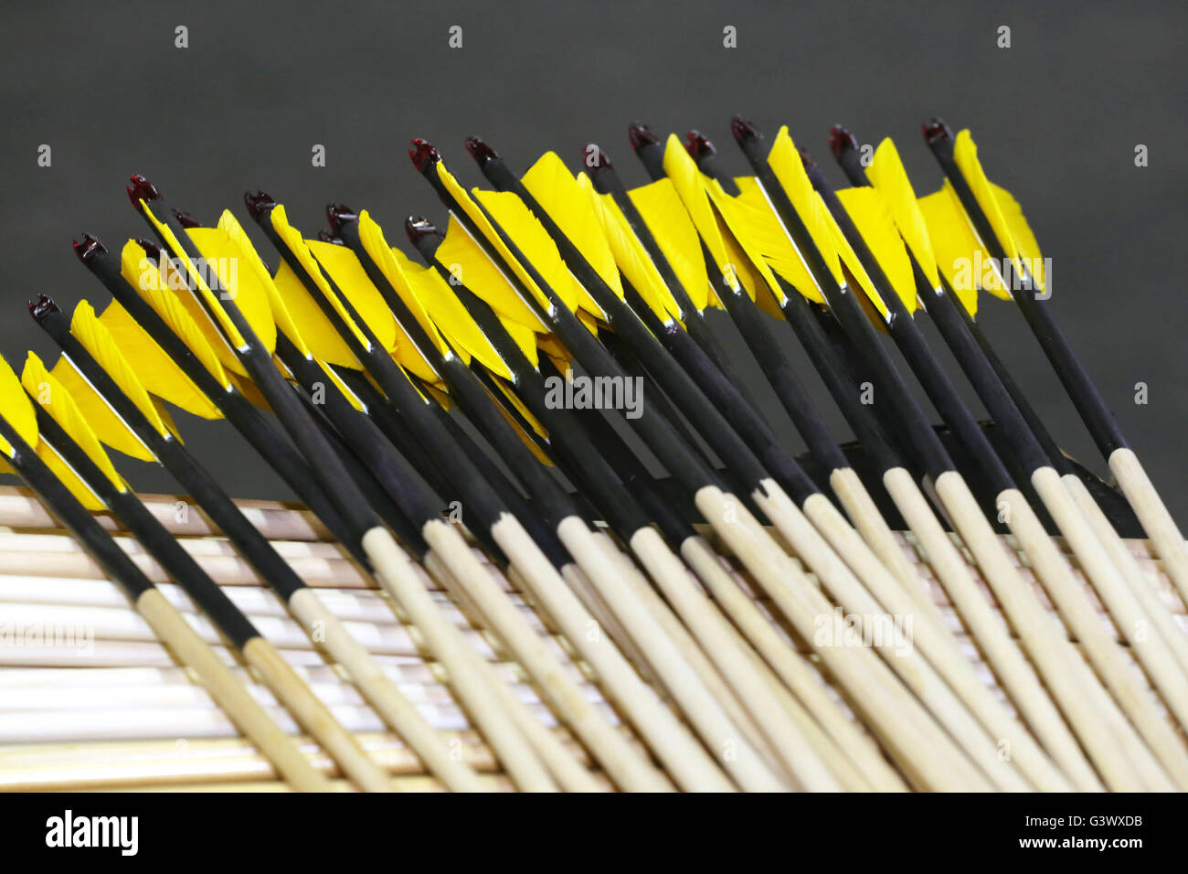 End of sport archery arrows in row Stock Photo - Alamy