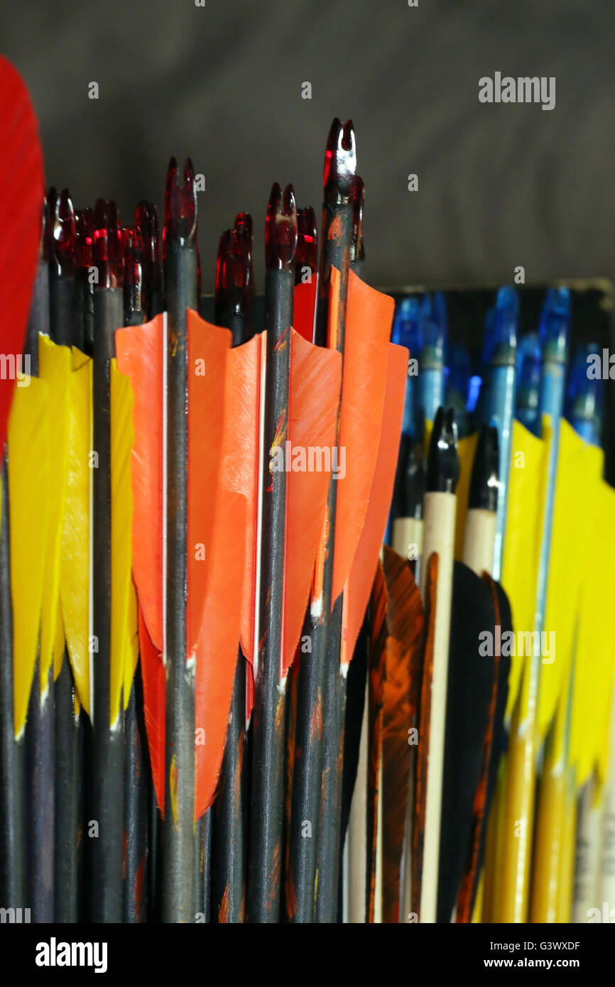 A set of modern sport arrows. End of arrows with feathers Stock Photo ...