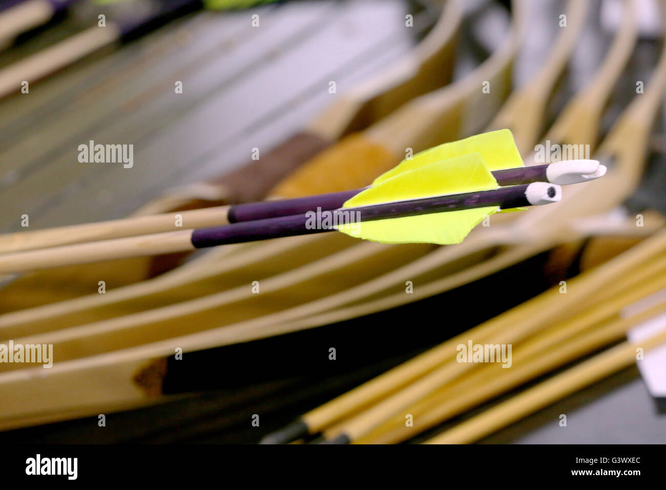 End of sport archery arrows in row Stock Photo - Alamy