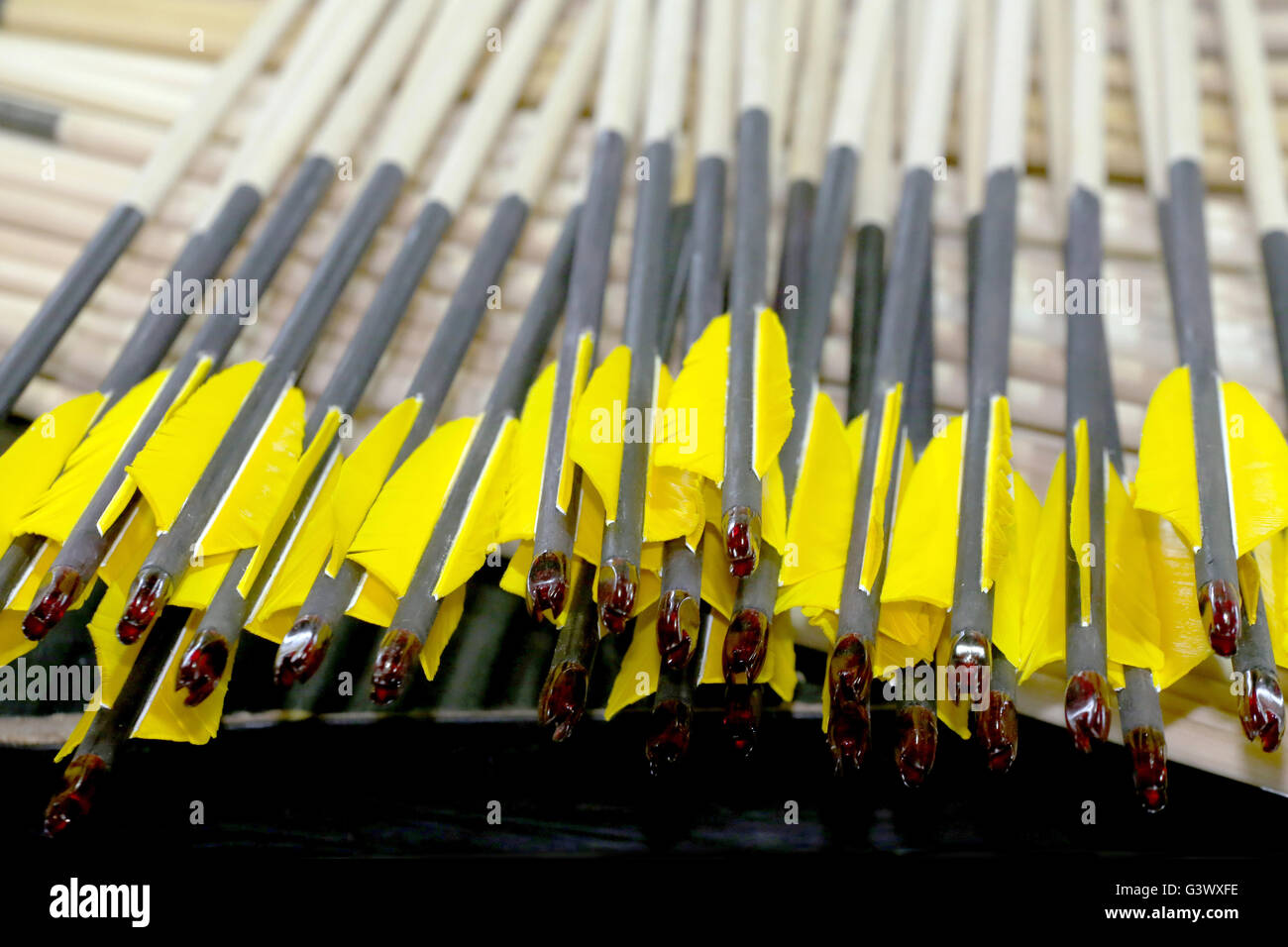 End of arrows with feathers as a background Stock Photo - Alamy