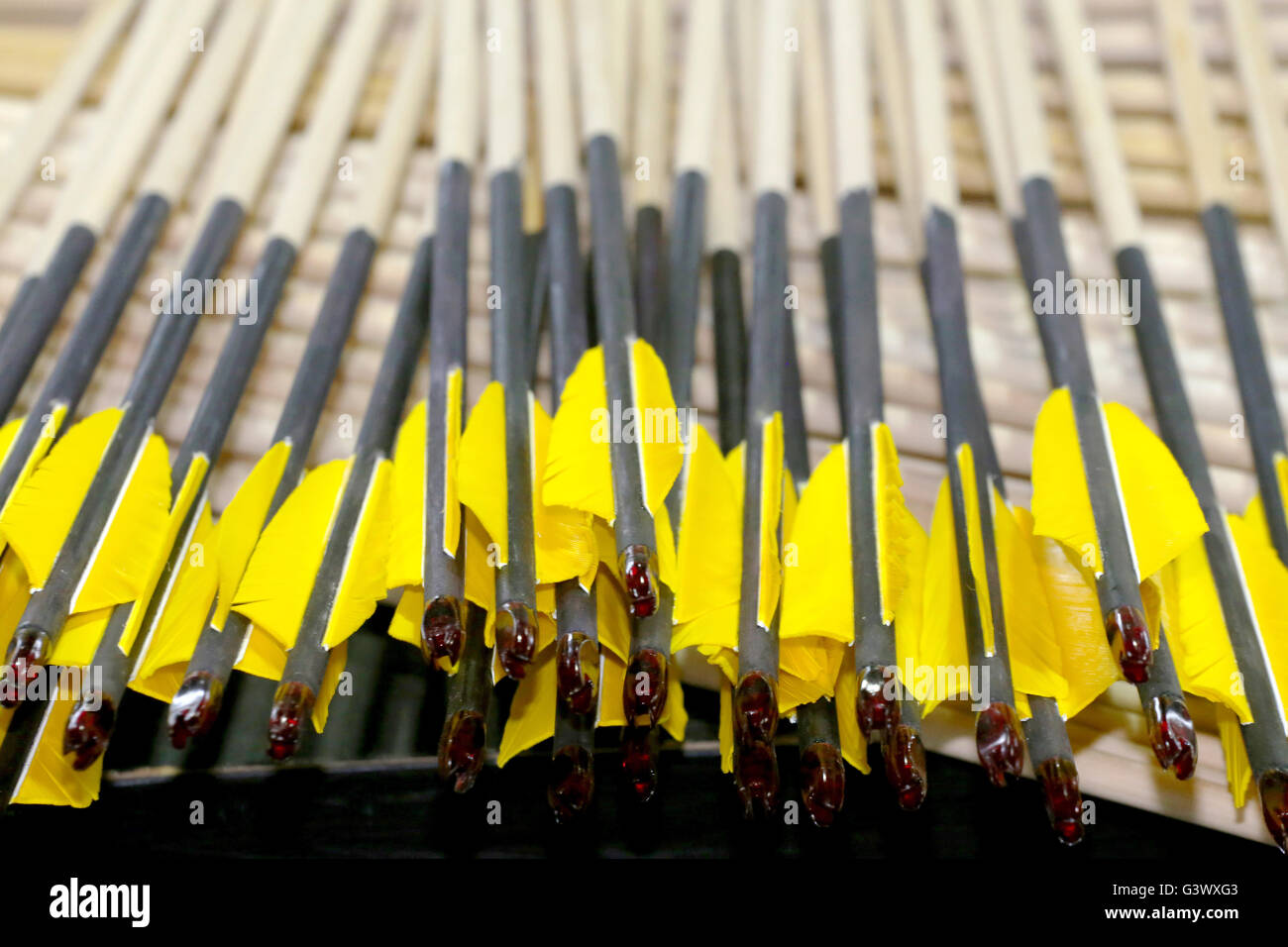 End of arrows with feathers background Stock Photo - Alamy