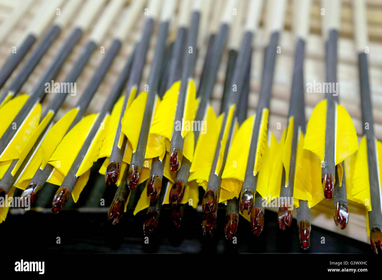 A set of modern sport arrows. End of arrows with feathers Stock Photo ...