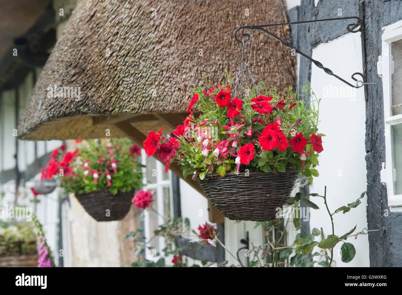 Hanging baskets in front of a black and white timber framed cottage ...