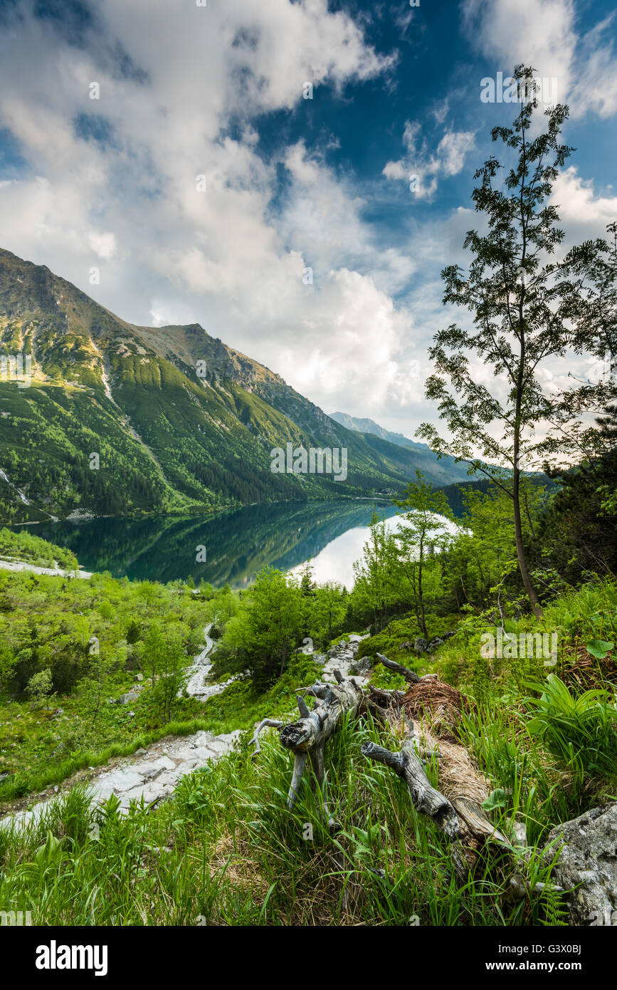 Morskie Oko lake, blue sky and fallen tree in foreground Stock Photo ...
