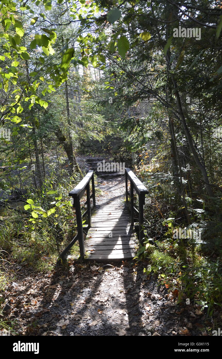 Walkway at Bond Falls in Paulding, Michigan Stock Photo - Alamy