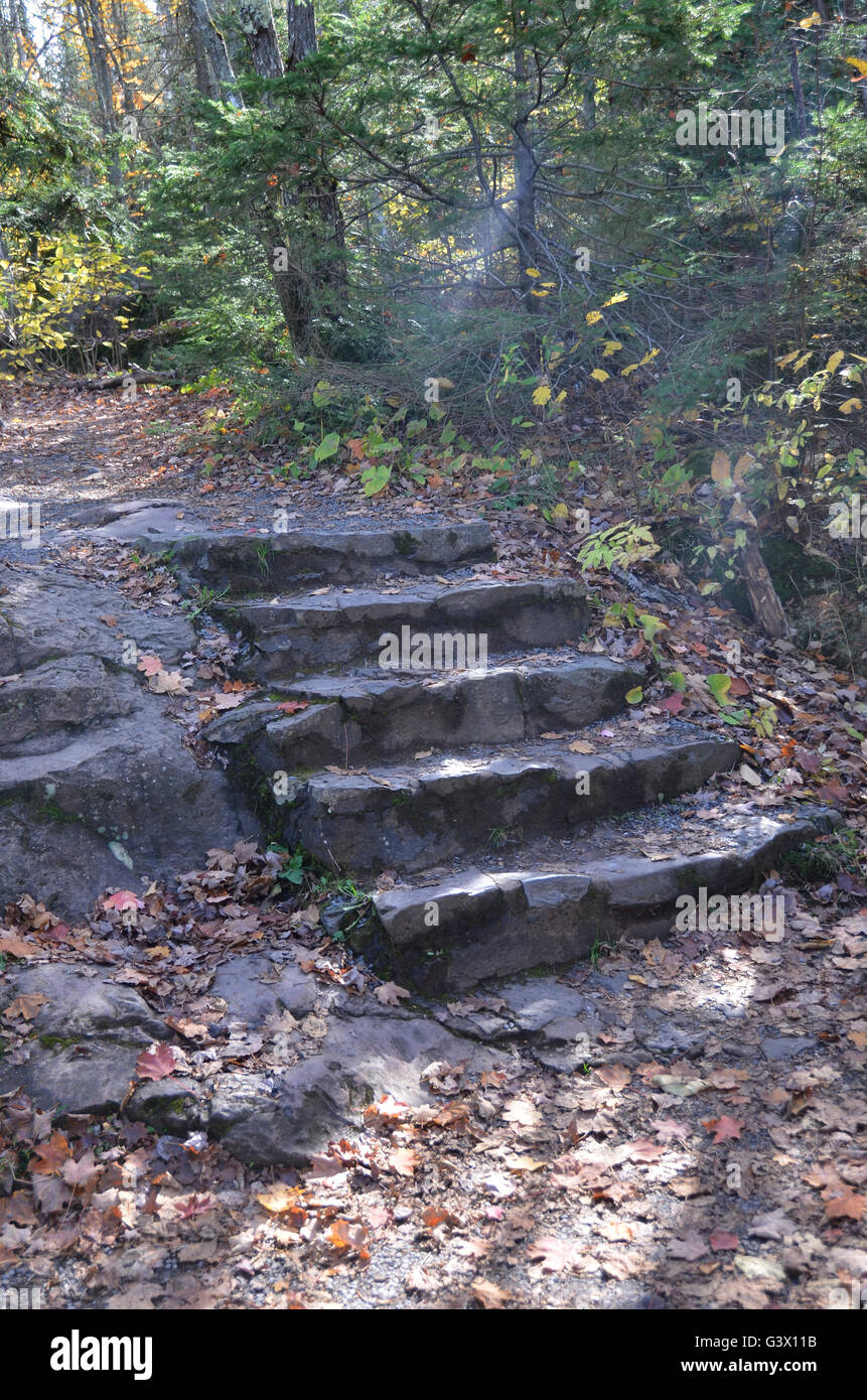 Wooden steps up steep hill hi-res stock photography and images - Alamy