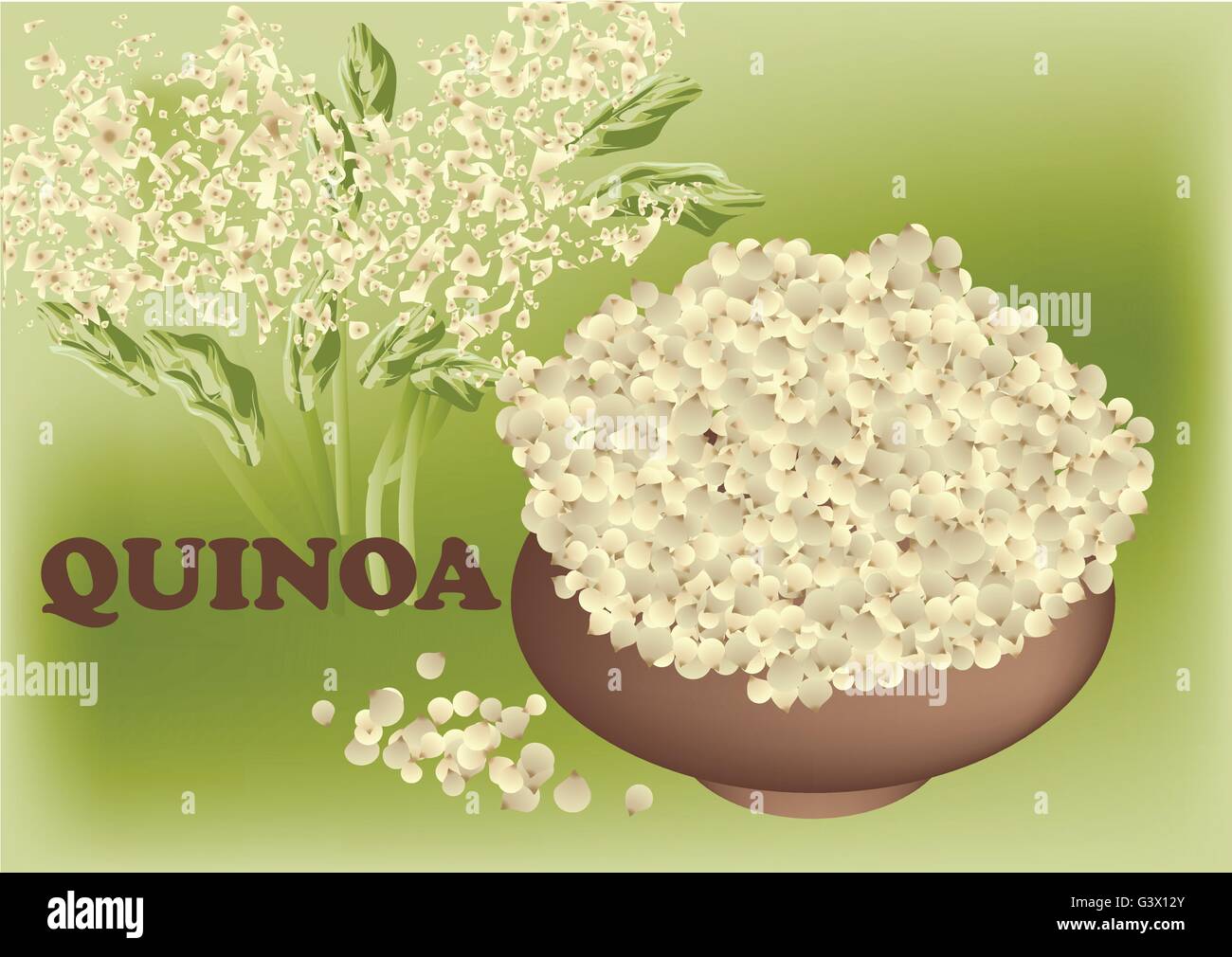 Quinoa plant hi-res stock photography and images - Alamy