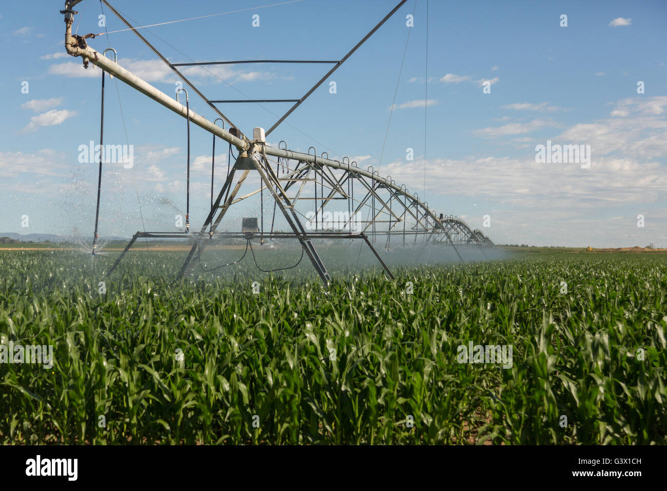 Water irrigation large scale hi-res stock photography and images - Alamy